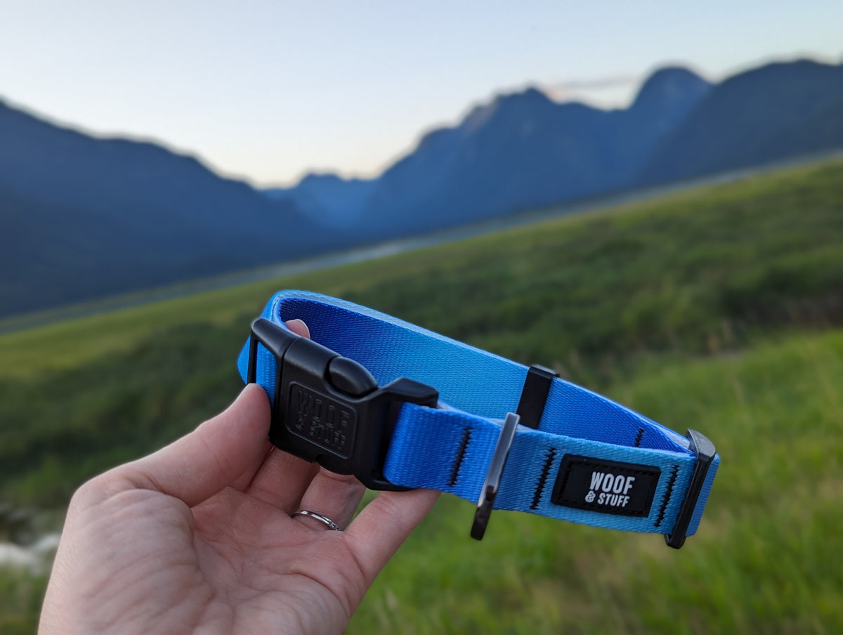 Ocean Collar – Woof & Stuff