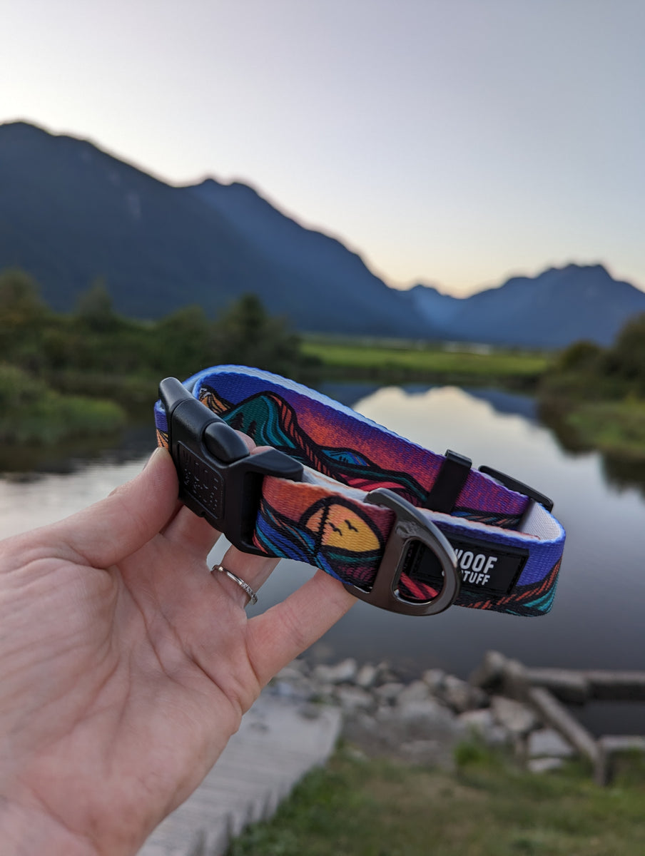 Midnight Sun Collar – Woof & Stuff
