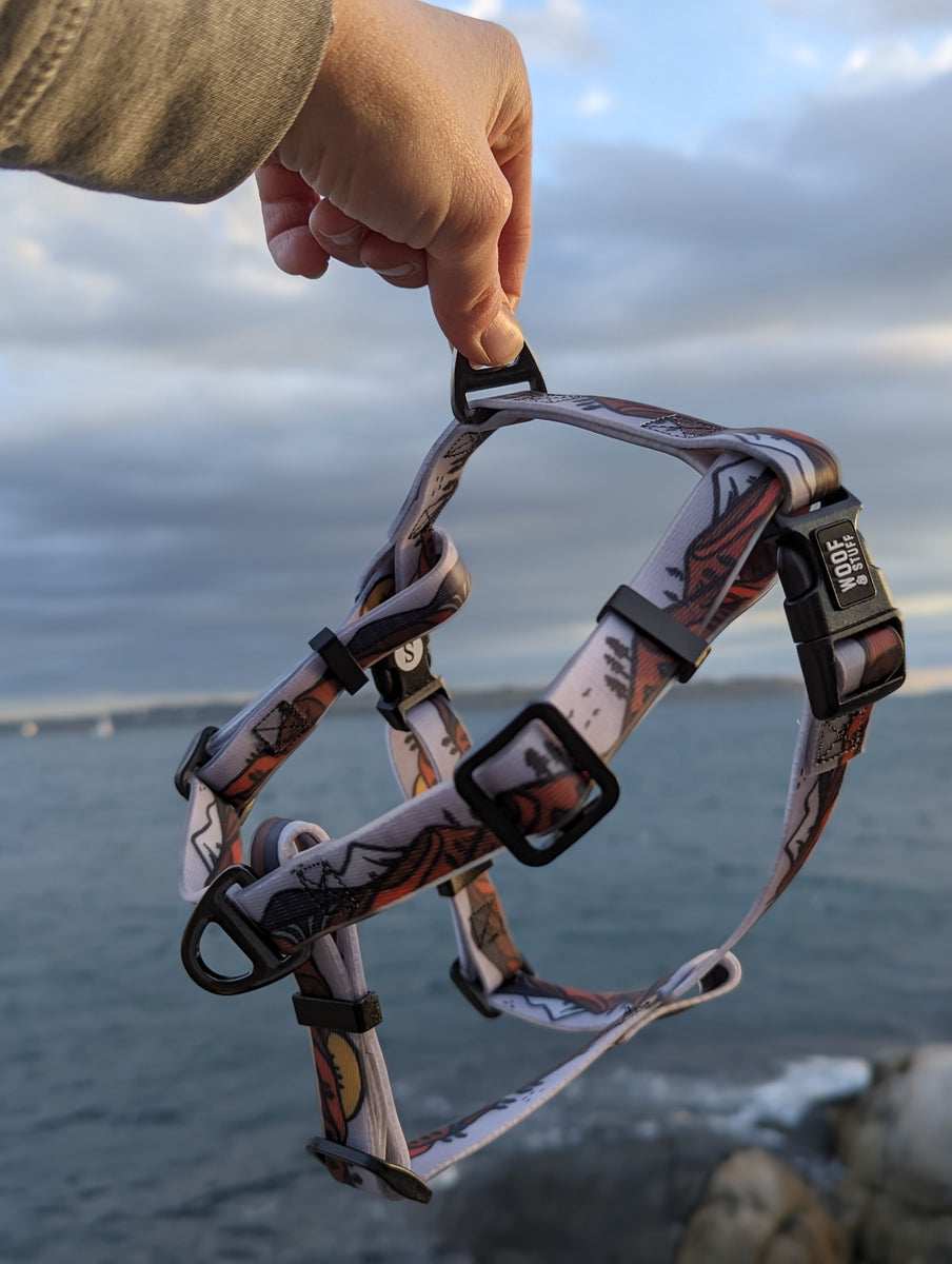 Wanderlust Waterproof Adventure Harness – Woof & Stuff